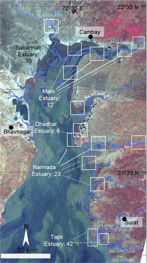False Colour Composite FCC Image Of IRS P6 LISS 3 Data Of The Gulf
