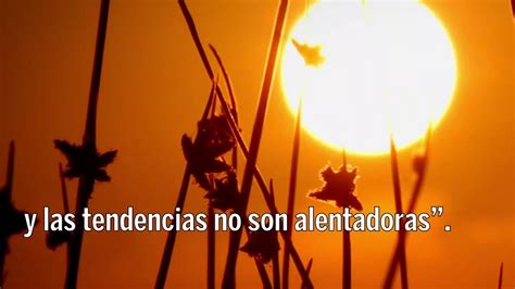 Perdido el 62 de humedales en México Gaceta UNAM YouTube