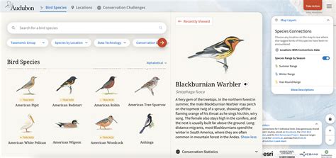 See How Migrating Birds Connect The World Popular Science