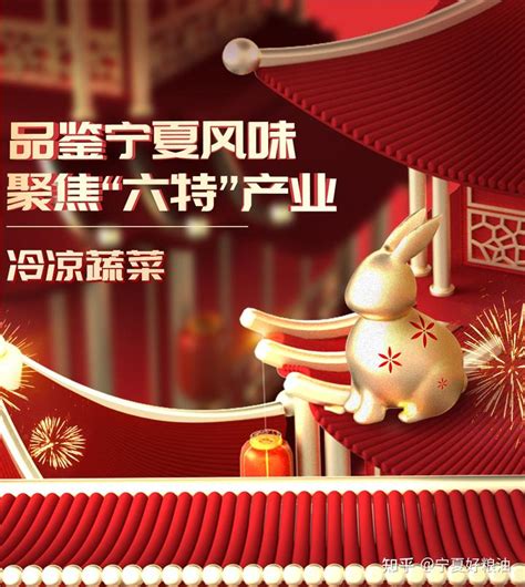 宁夏冷凉蔬菜，丰富“菜篮子”，鼓起“钱袋子” 知乎