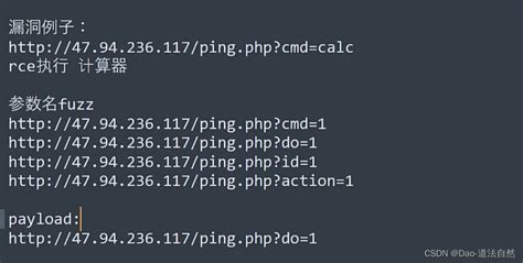 Day76：web攻防 Fuzz模糊测试篇andjs算法口令and隐藏参数and盲payloadand未知文件目录 Csdn博客