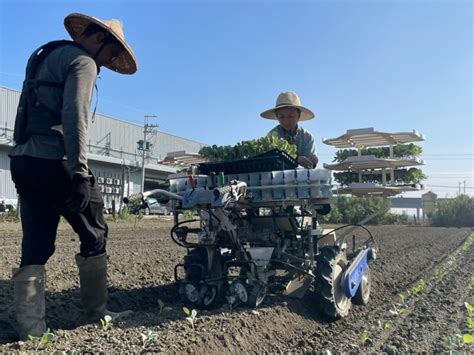 高雄蔬菜機械種植示範農場「開種」種菜免彎腰好輕鬆 省錢省工是王道！