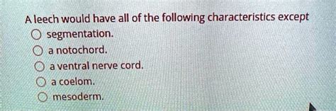 Solved A Leech Would Have All Of The Following Characteristics Except Segmentation Notochord A
