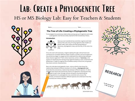 Lab Sheet The Tree Of Life Creating A Phylogenetic Tree Biology Worksheet Science Teachers