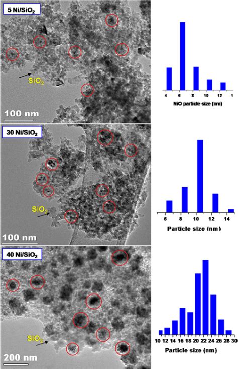 Tem Images And The Corresponding Particle Size Distribution Of 5