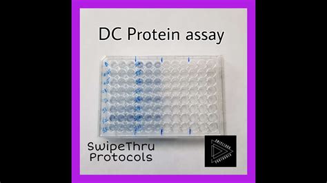 Bio Rad Dc Protein Assay Kit Protocol At Savannah Holroyd Blog