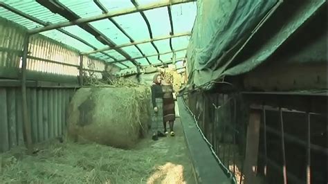 Velhas Safadas Search Xvideos Com