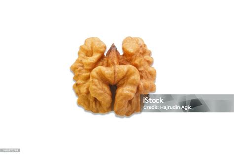 흰색 배경에 고립 된 호두 씨앗 뇌는 호두의 절반을 형성했습니다 뇌에 대한 스톡 사진 및 기타 이미지 뇌 호두 0명