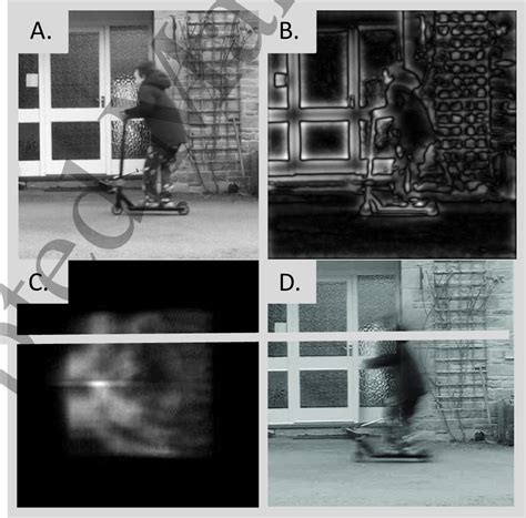 Example Simulations Demonstrating Potential Perceptual Distortions And