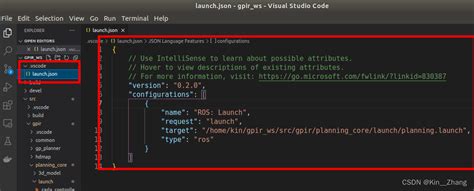 【ros】 在vscode中 Ros Debug 配置方法非常详细版 Csdn博客