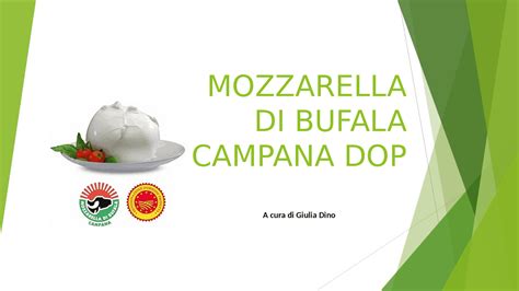 Master Italia Usa Project Work Ice Mozzarella Di Bufala Campana Dop