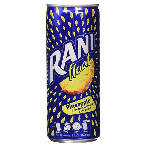 Rani Pineapple Juice 240ml Iqbal Foods Inc