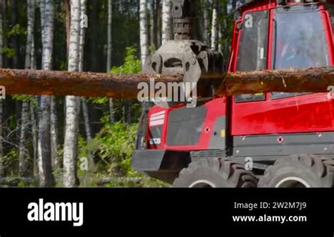timber loading loading logs into a truck timber processing