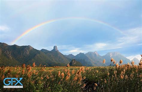 عکس رنگین کمان⭐دانلود 35 عکس رنگین کمان با کیفیت بالا