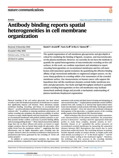 Pdf Antibody Binding Reports Spatial Heterogeneities In Cell Membrane