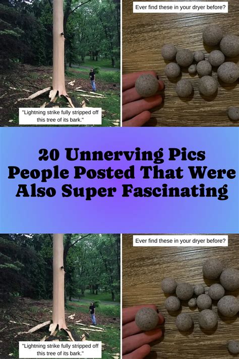 50 Pics That Show The Consequences Of Summer Heatwaves Artofit
