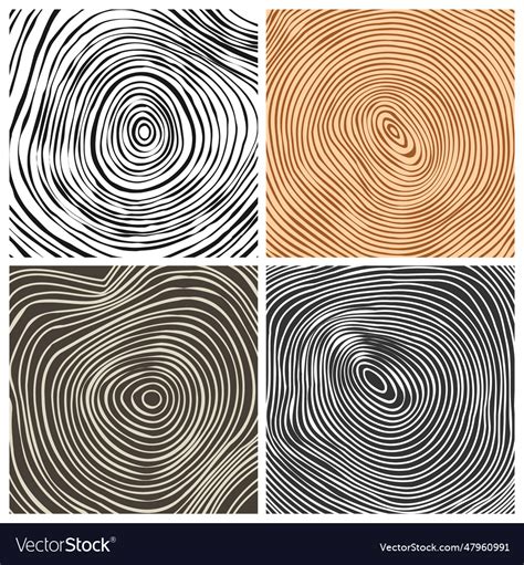 Tree Trunk Cut Textures Pine Or Oak Slice Sawn Vector Image
