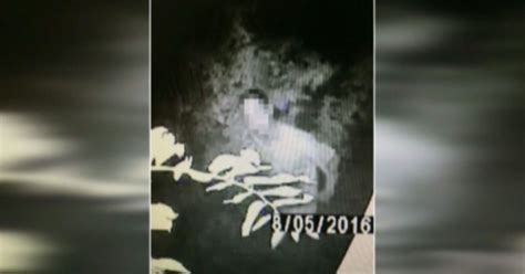 Suspected Serial Rapist Arrested In Michigan