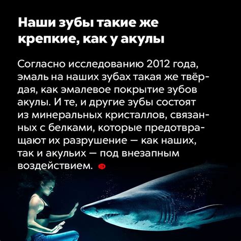 Пин на доске Миф и правда Забавные факты Интересные факты Случайные