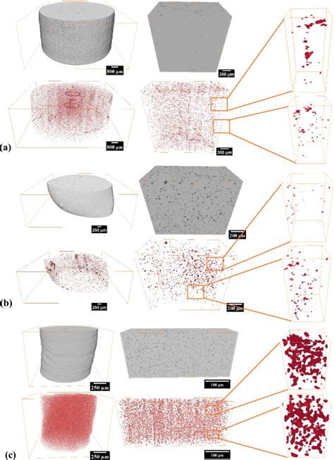3d Volumetric Renderings Are Given At Two Different Scales For 1st