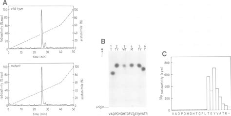 Tryptic Phosphopeptide Mapping And Sequence Analysis Of Recombinant Map