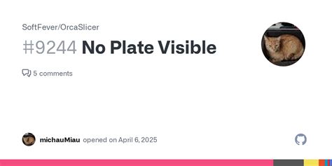 No Plate Visible · Issue 9244 · Softfeverorcaslicer · Github