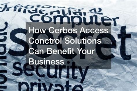 How Cerbos Access Conctrol Solutions Can Benefit Your Business Dayooper
