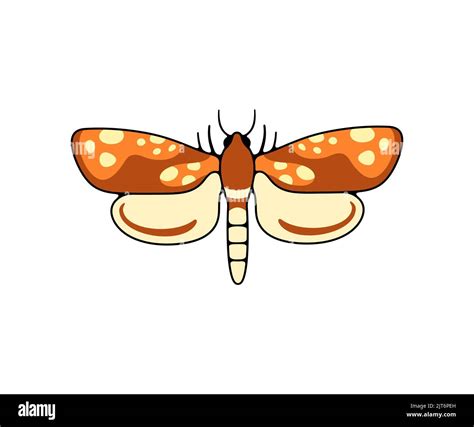 Spotted Nocturnal Moth Butterfly And Moth Logo Design Flying Insects
