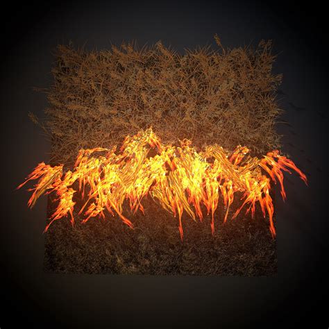 Burning Grass 3d Model 16 Max Fbx Obj Free3d