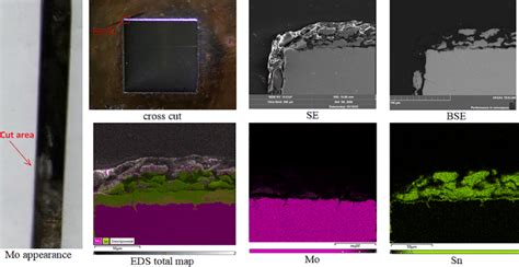 Molybdenum Micrographs Of Cross Cut And Elemental Eds Mapping