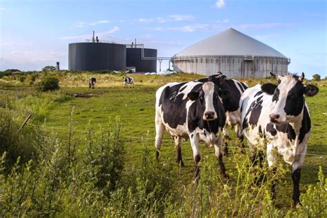 Un plan de 5 puntos para escalar el biometano a nivel mundial Salón