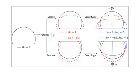 Spline Based Shape Prediction And Analysis Of Uniformly Rotating Sessile And Pendant Droplets