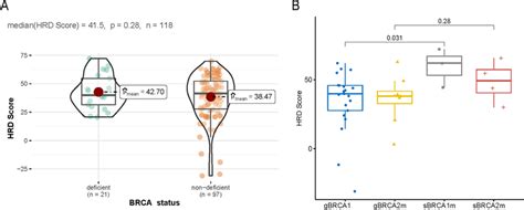 Hrd Score Distribution In Hrd Cohort N 118 Stratified By Brca Download Scientific Diagram