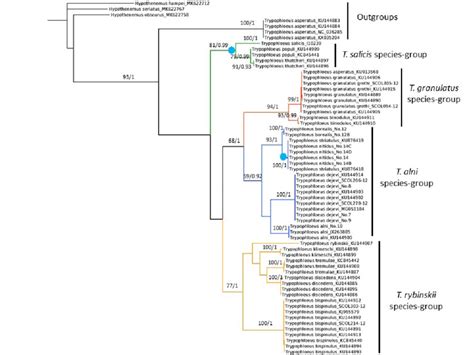 Best Tree Obtained With The Phylogenetic Reconstruction Using Coi And