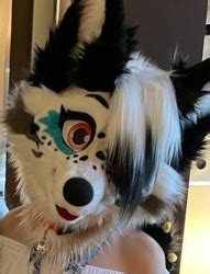 Palacewolf Fursuit Friday — Weasyl