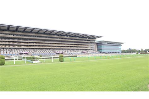 競馬場では傘を差すな？ 飛び交った怒号、観戦マナーが議論呼ぶ「阿呆の行動」「迷惑」 Encount
