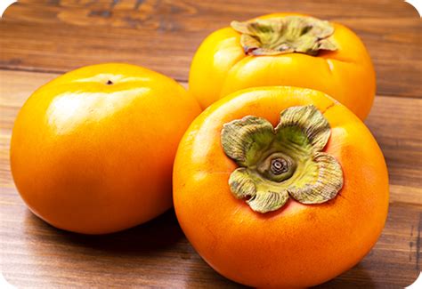 季節ごとに旬のフルーツを直売しています！