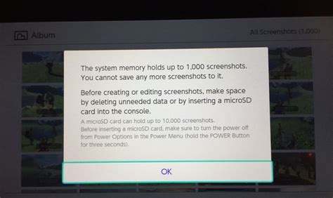 Nintendo Switch Internal Memory Can Hold Screenshots With More On