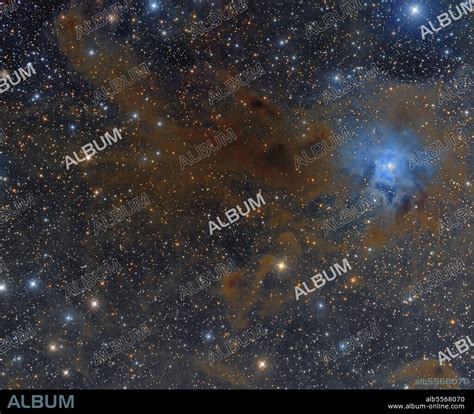 Ghost Nebula Cepheus