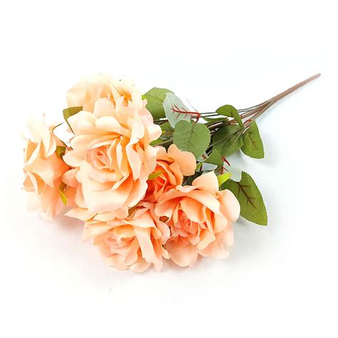 Rosa Brasfama