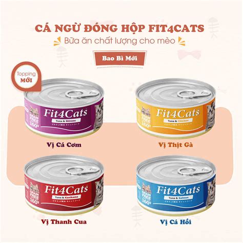 DoggyMan Việt Nam