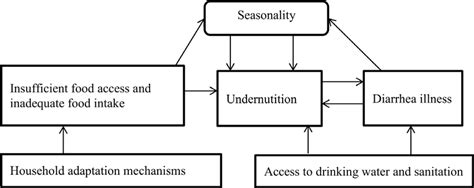 Conceptual Framework For A Possible Chain Of Relationships Between Download Scientific Diagram