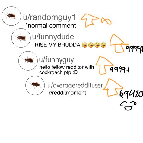 No One Cares About Your Cockroach Pfp Rcoaxedintoasnafu