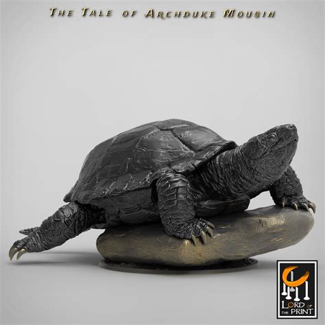 Tazo Lotp Turtle Wild D Am