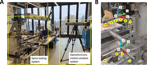 Angular Test Set Up For Measuring The Specimen S Angular Responses A Download Scientific