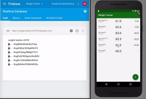 Flutter中的firebase数据库——体重跟踪app 3 · Richards Blog