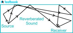 Difference Between Echo And Reverberation Concept And Importance
