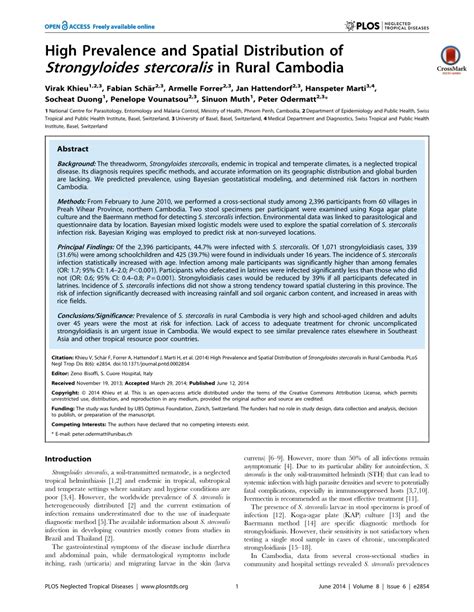 Pdf High Prevalence And Spatial Distribution Of Strongyloides
