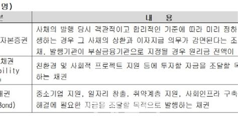 Kb국민은행 4500억원 규모 후순위채 발행