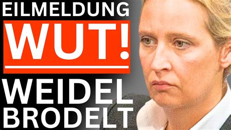 Eilmeldung Weidel Kocht Vor Wut Youtube